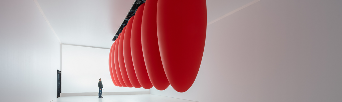 Wahlberg Rotators at OVOIDS by SpY